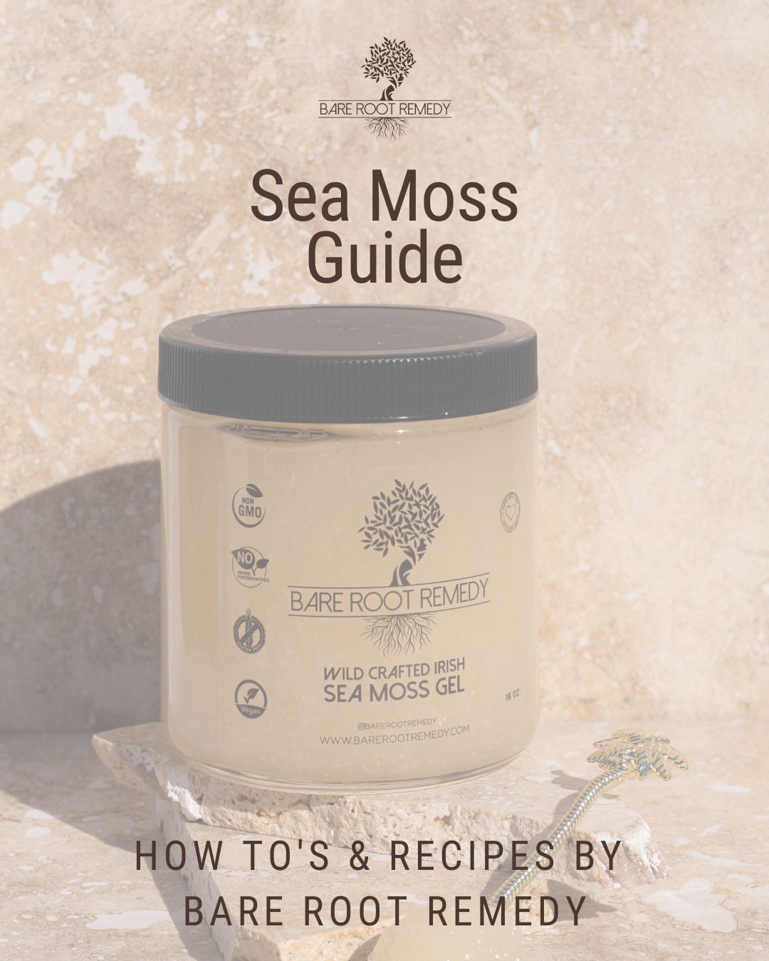 Sea Moss Guide: How To's & Recipes! – Bare Root Remedy