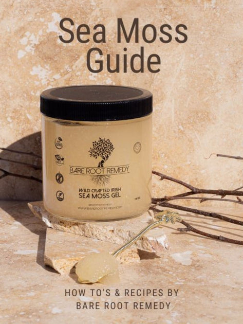 Sea Moss Guide: How To's & Recipes! – Bare Root Remedy