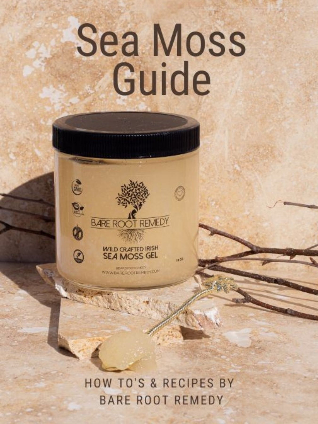Sea Moss Guide: How To's & Recipes! – Bare Root Remedy
